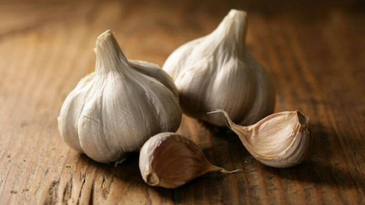 Ajo Medicinal